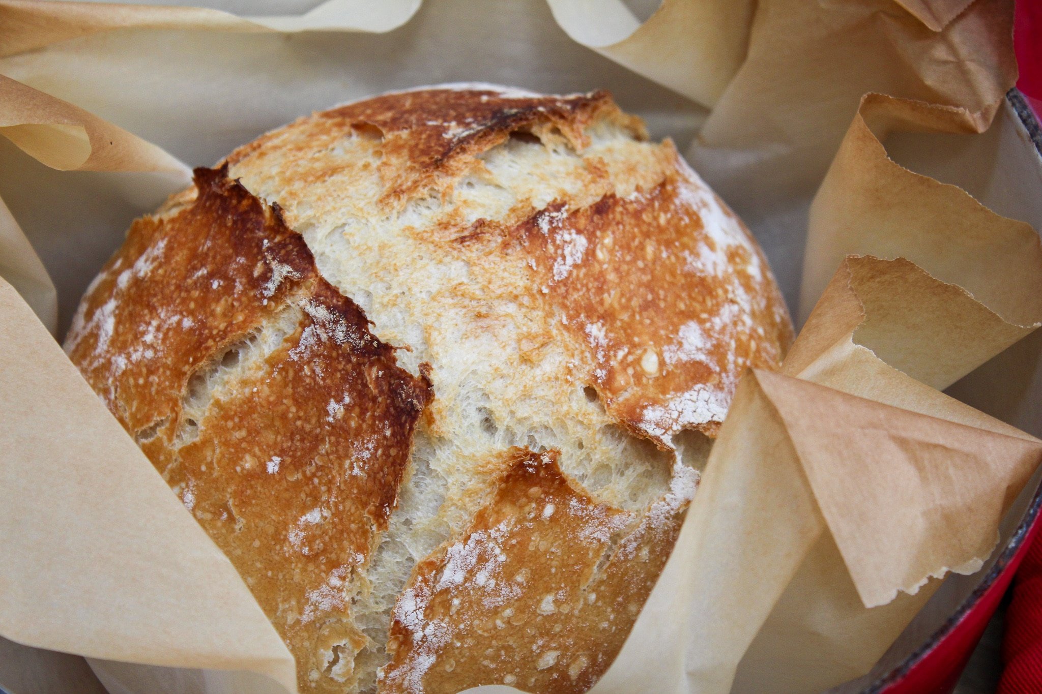 4-Ingredient No Knead Crusty Bread